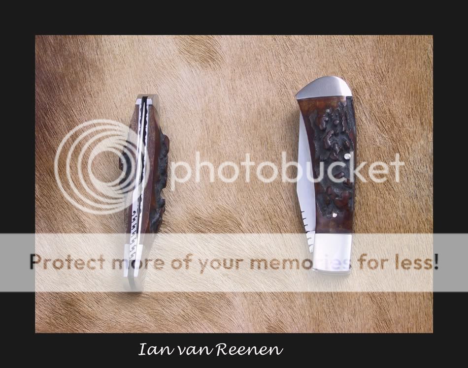 Stag Trapper with Roman Knot | BladeForums.com