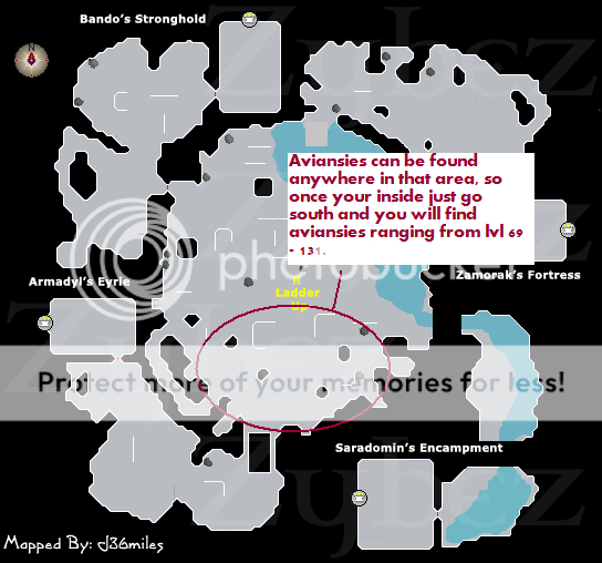 Guide to Aviansies. | Sell & Trade Game Items | OSRS Gold | ELO